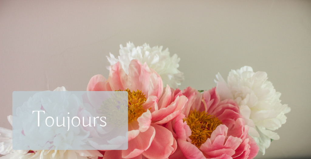 Toujours Archives - Showit Blog